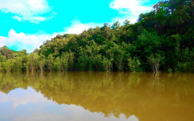 Amazonas Rainforest - Ecoglobal Expeditions