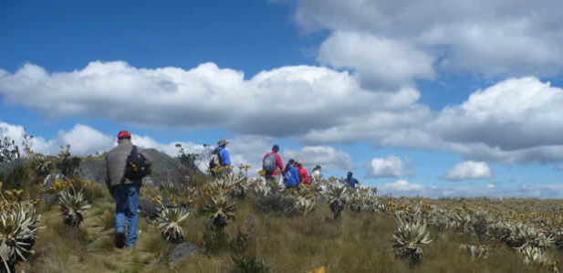 Caminata Ecológica a la Laguna Verde de Tausa Ecoturismo Colombia ...