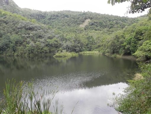 Caminata Ecológica Laguna del Tabacal Ecoturismo Colombia - Ecoglobal ...