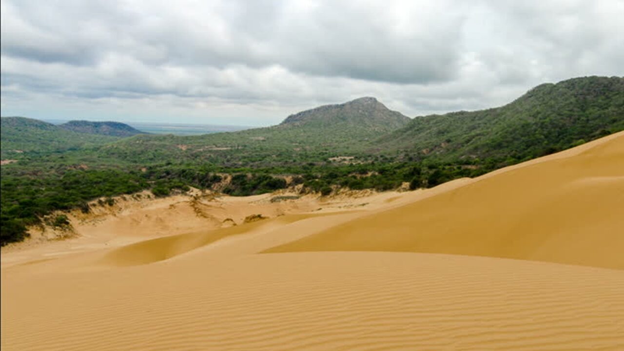 - Archivo Macuira National Natural Park | Ecoglobal ...