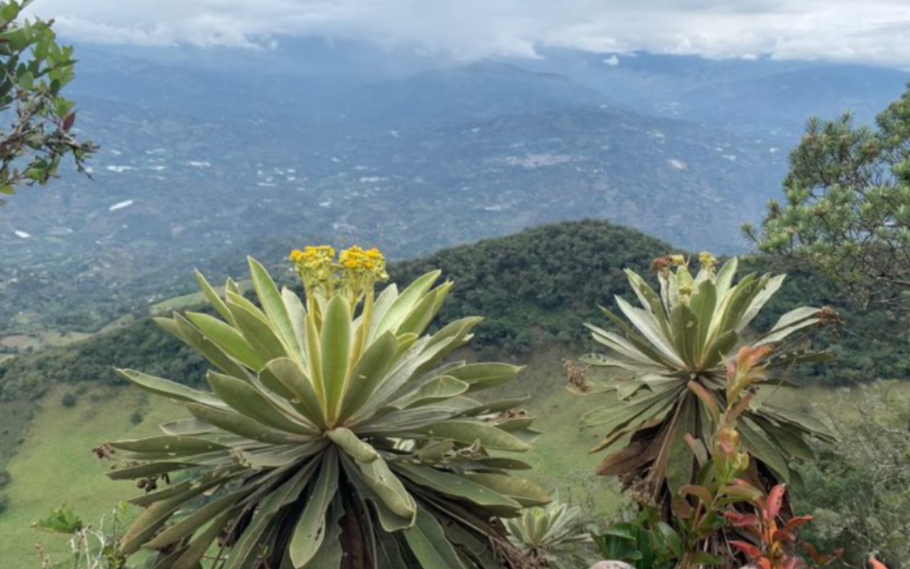 Tres cumbres de Choachí – Ubaque y una Laguna Sagrada - Ecoglobal ...