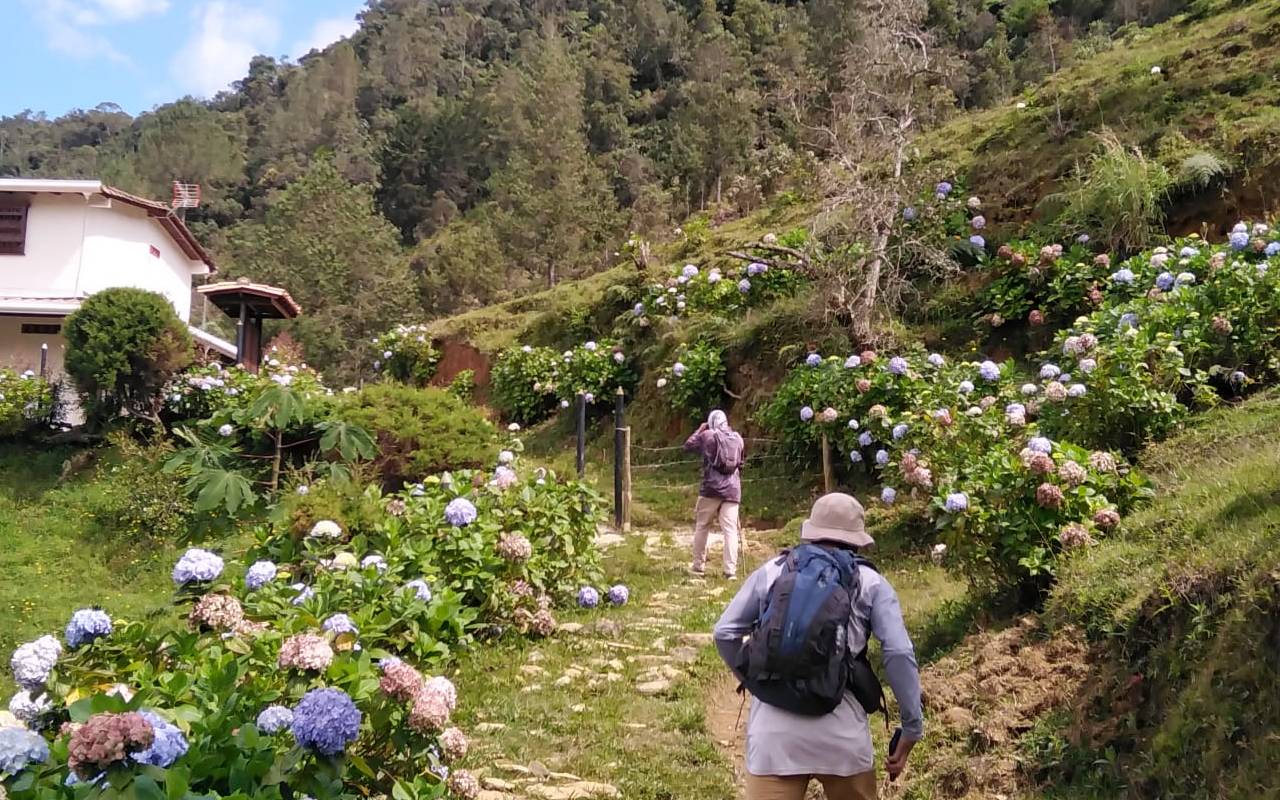 Caminata ecolólogica entre bosques concepción antioquia - Ecoglobal ...