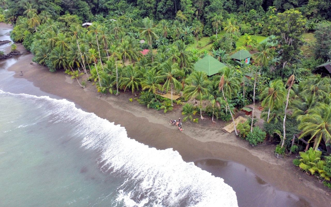 Avistamiento de Ballenas en Nuquí, Pacíífico Colombiano - Ecoglobal ...